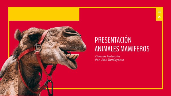 clasificacion de los animales | Genially