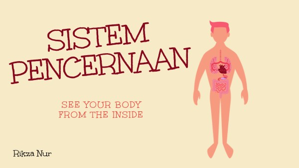 HUMAN BODY PRESENTATION