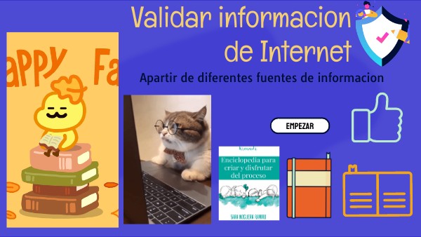 validar_informacion_internet