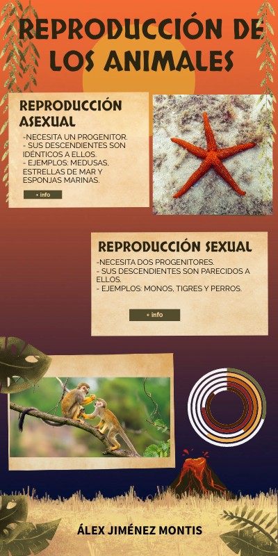 REPRODUCCIÓN DE LOS ANIMALES | Genially