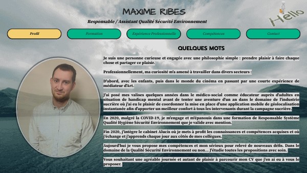 CV Maxime RIBES QSE