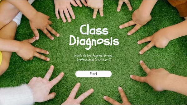 Classroom Diagnosis