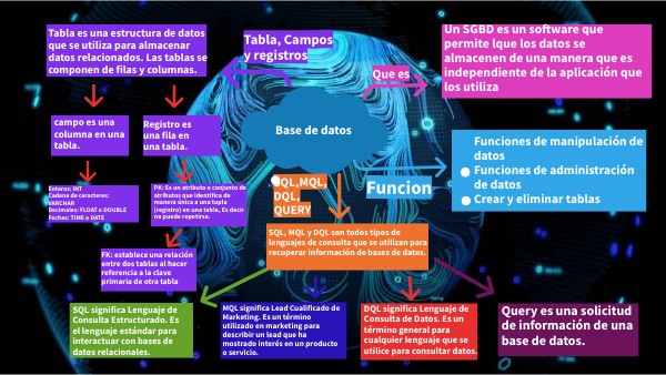 Infografia BASE DE DATOS
