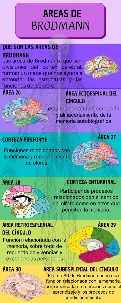 VERTICAL GENIAL ONE PAGER | Genially