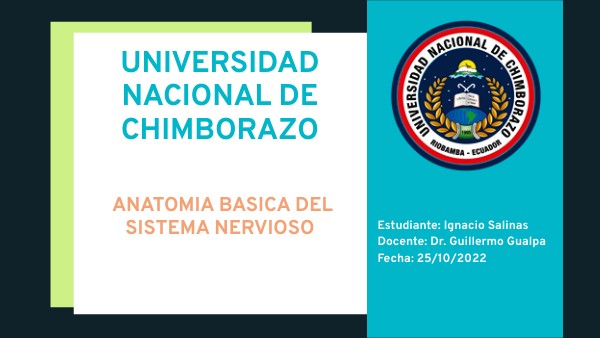 Presentacion Anatomia Basica Ignacio Salinas | Genially