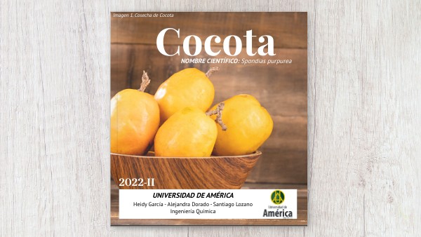 REVISTA COCOTA 2022-II