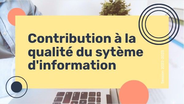 Contribution à la qualité du système d'information | Genially