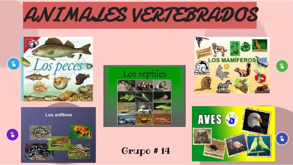ANIMALES VERTEBRADOS