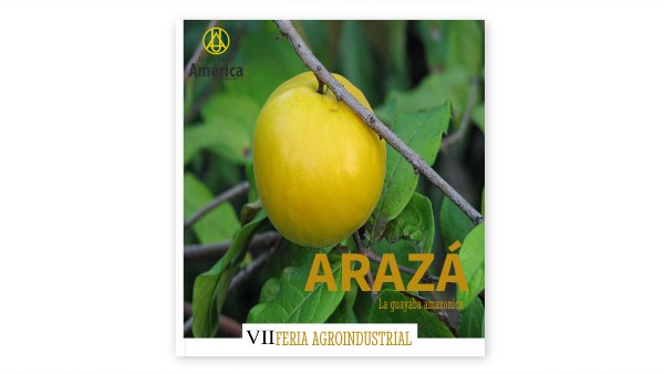 Revista de arazá