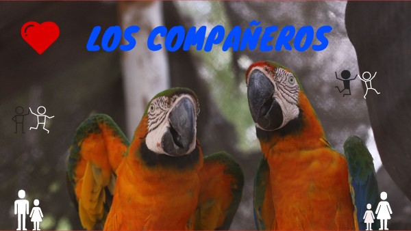 LOS COMPAÑEROS