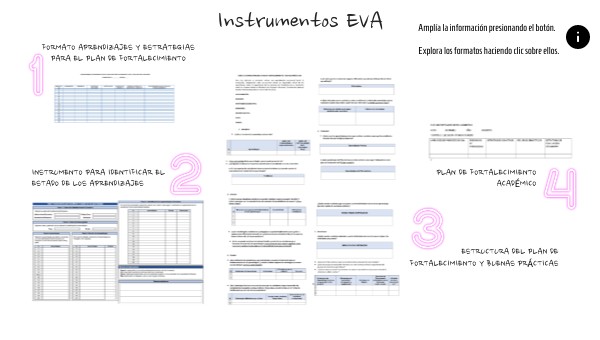 INSTRUMENTOS EVA