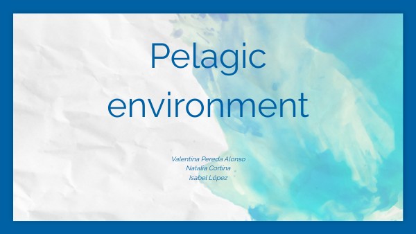 Pelagic environment