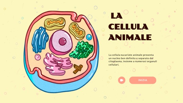 LA CELLULA ANIMALE | Genially