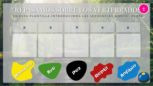 Speed Cups - OUR BODY | Genially