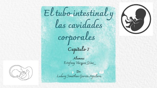 CAPITULO 7 | Genially