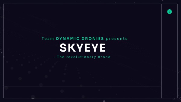 SKYEYE