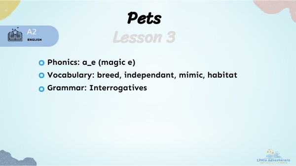Pets 3