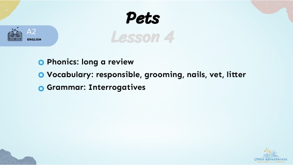 Pets 4