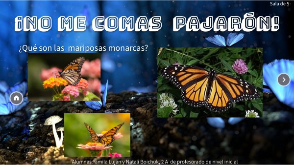 LA MARIPOSA MONARCA | Genially