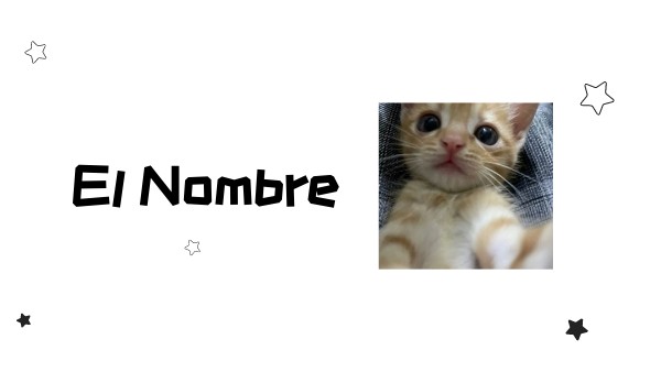 El Nombre!!