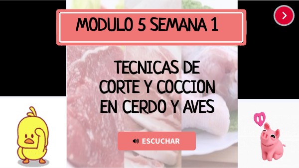 SEMANA 1 MODULO 5