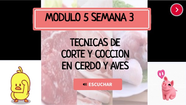 SEMANA 3 MODULO 5