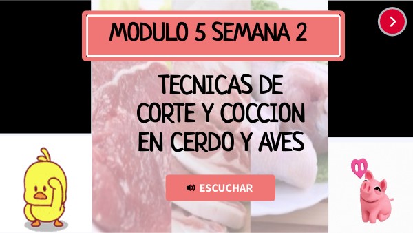 SEMANA 2 MODULO 5