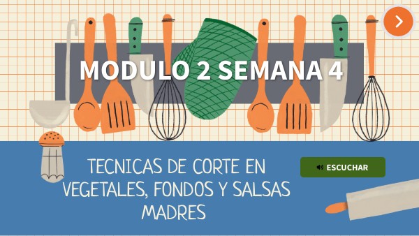 SEMANA 4 MODULO 2