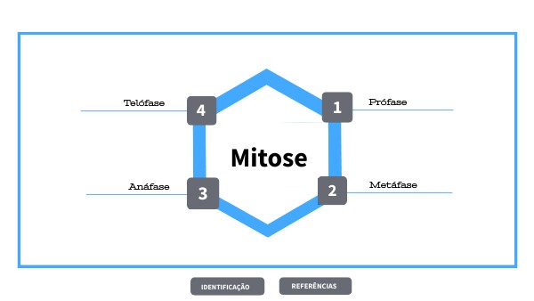 Mitose | Genially