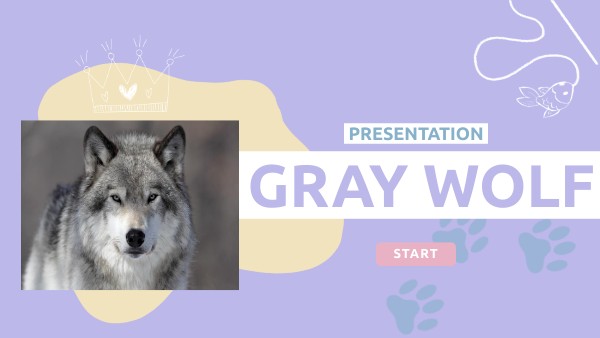 GRAY WOLF PRESENTATION | Genially