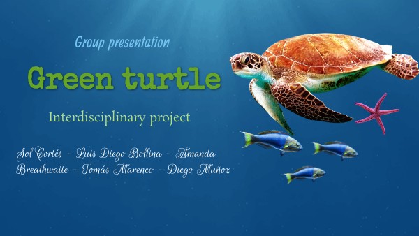 Green Turtle Presentation