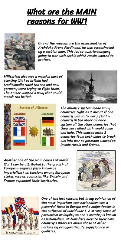 What are some of the reasons for ww1