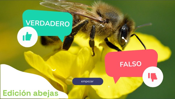 Quiz interactivo de abejas