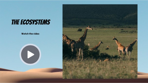 Task 1. The ecosystems | Genially