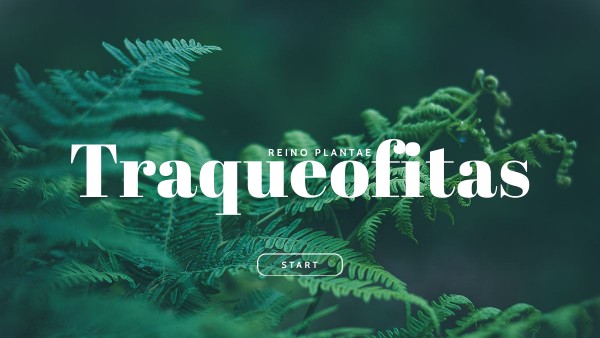 REINO PLANTAE TRAQUEOFITAS | Genially