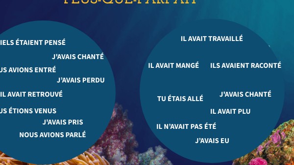 PLUS -QUE- PARFAIT