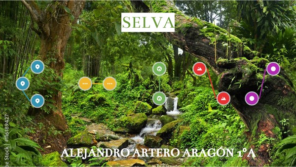 SELVA