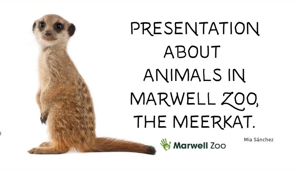 PRESENTATION MEERKAT