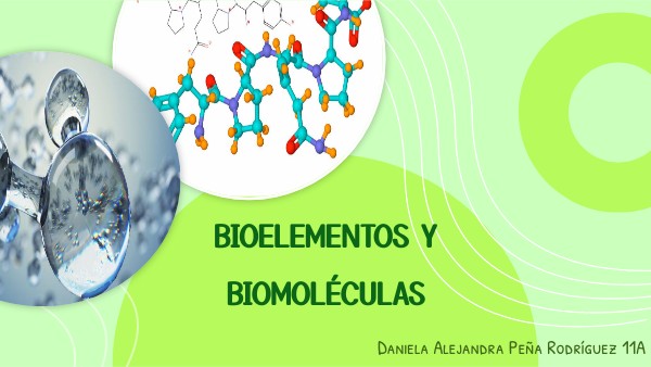 Biomoléculas y bioelementos | Genially