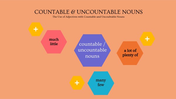 PLURAL/UNCOUNTABLE NOUNS