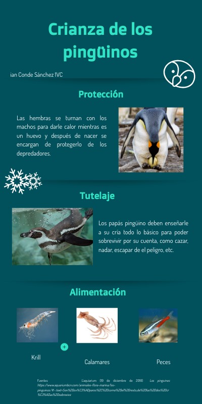 Crianza de los pingüinos | Genially
