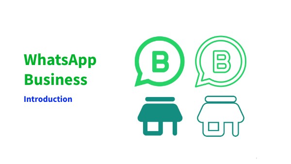 WhatsApp Business Introduction