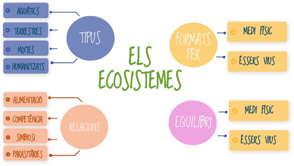 MIND MAP