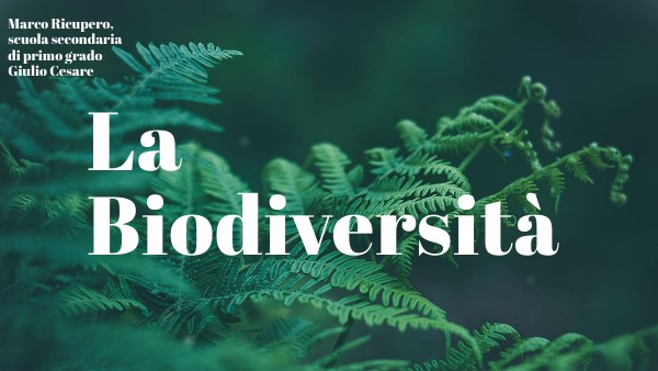 BIODIVERSITY PRESENTATION | Genially
