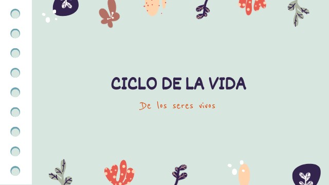 Presentación ciclo de la vida