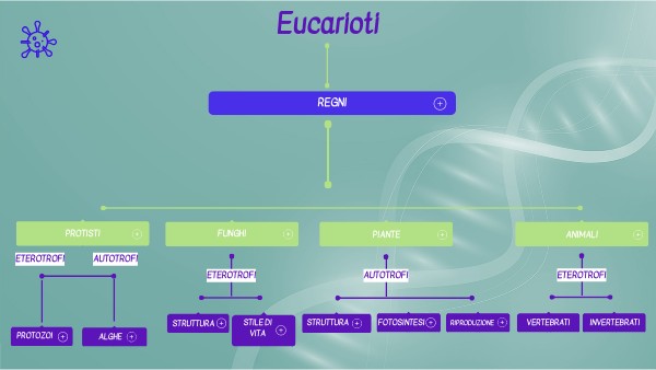 Classificazione eucarioti_draft