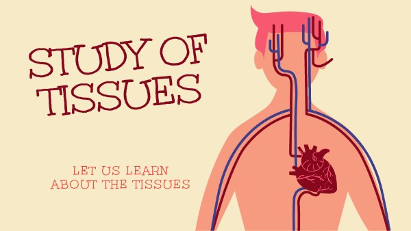 HUMAN BODY PRESENTATION