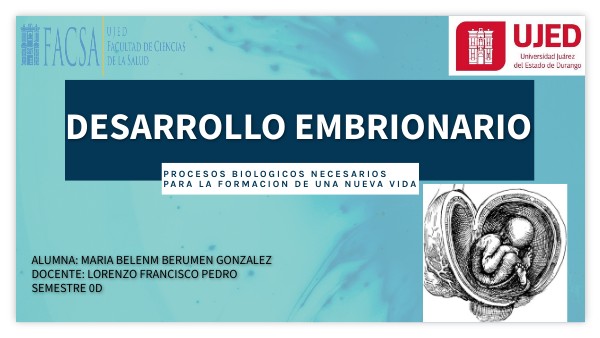 Proyecto final Maria Belenm Berumen