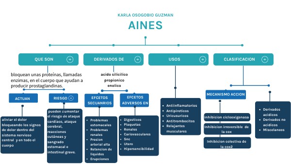 MAPA CONCEPTUAL AINES | Genially