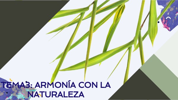 U4 TEMA 3 | Genially